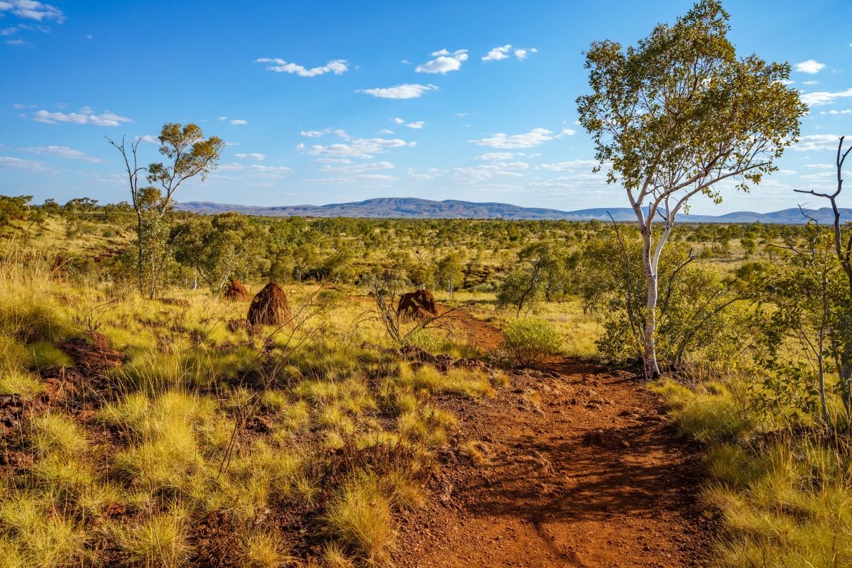 New South Wales Desert Climates - NSW Water Tanks